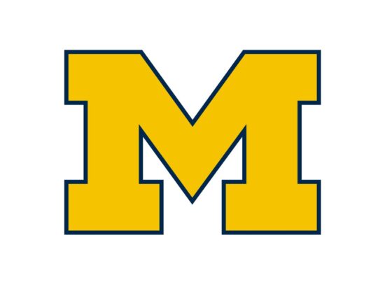 Michigan Wolverines Color Codes - Sports Color Codes