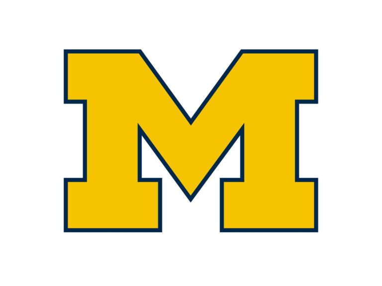 Michigan Wolverines Color Codes - Sports Color Codes