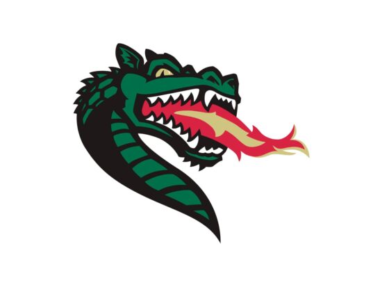 UAB Blazers Color Codes - Sports Color Codes