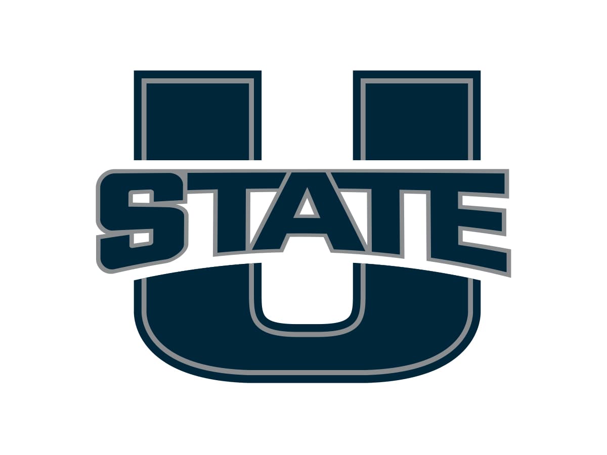 SMU Mustangs Color Codes - Sports Color Codes